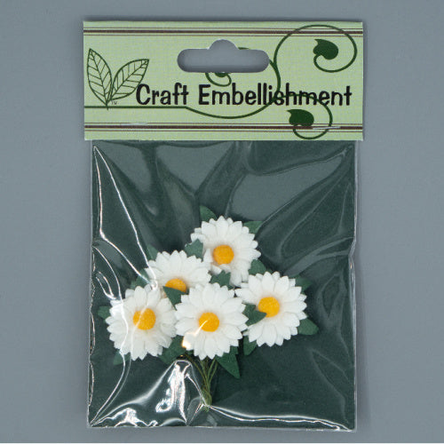 White Sunflower – Pandora's Box Namibia
